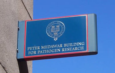 Covid-19 Samples safe with Omniflex Remote Monitoring – Omniflex